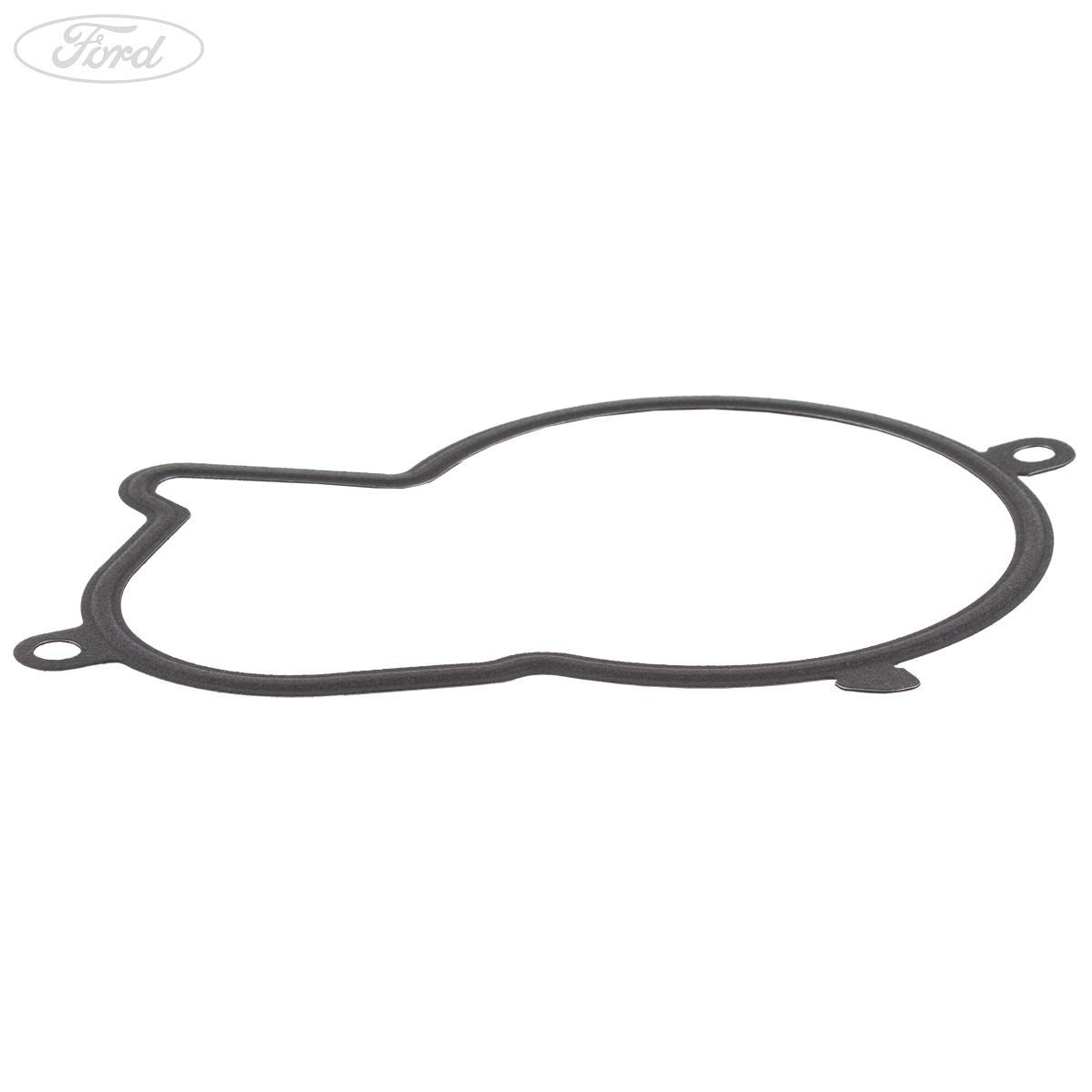 Original Ford Dichtung Kraftstoffpumpe 2.0L Duratorq 1892645 | Ford ...