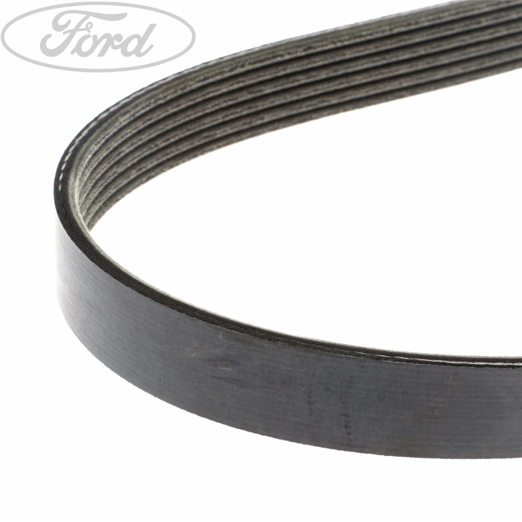 Original Ford Mondeo/Focus/C-MAX Antriebsriemen 1.6L Duratorq 1701514 ...